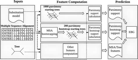 Julius Wiegert On Linkedin Predicting Phylogenetic Bootstrap Values
