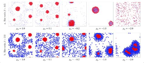 comparison of binary structures formed by different size ratios β