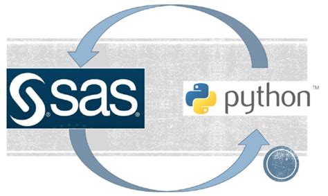 Rewrite Your Sas Code In Python By Beyondrisks Fiverr