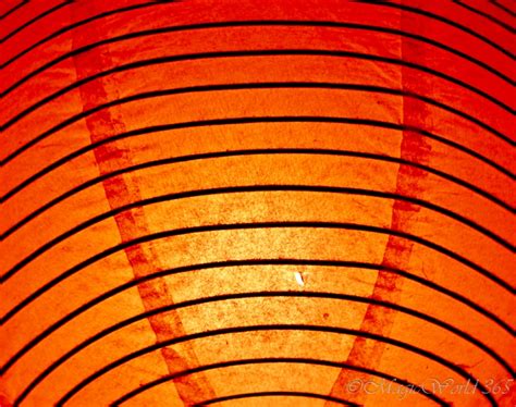 Orange Chromotherapy 56365 Project365 Magiance Photography And