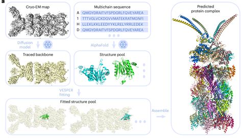 Diffmodeler Large Macromolecular Structure Modeling For Cryo Em Maps Using A Diffusion Model