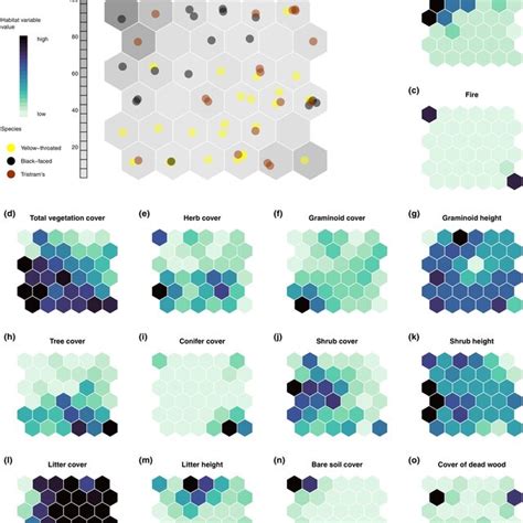 Self‐organizing Map Som Output Neurons Shown As Hexagons