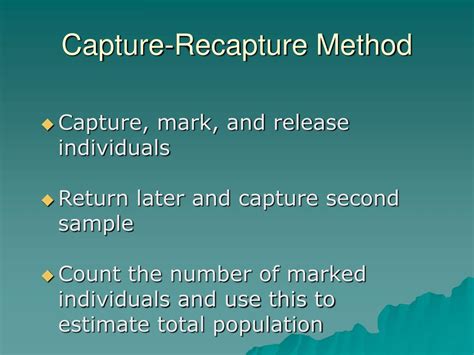 Ppt Population Ecology Powerpoint Presentation Free Download Id 1086509