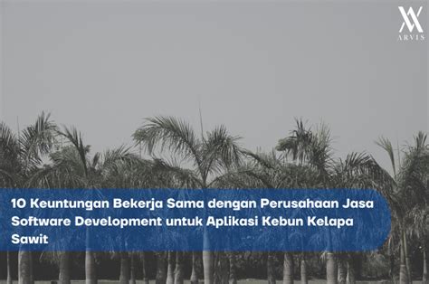 Keuntungan Bekerja Sama Dengan Perusahaan Jasa Software Development Untuk Aplikasi Kebun