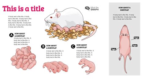 Are You Enjoying The Benefits Of Being A Mind The Graph User