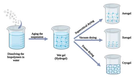 schematic illustration of the preparation of aerogels xerogels and