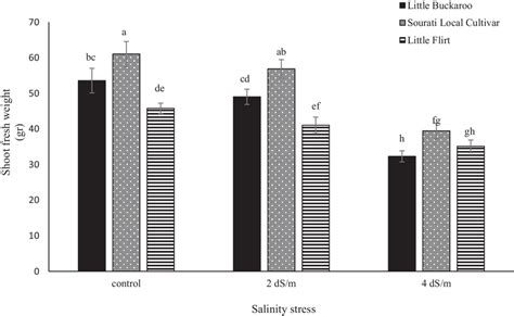 Mean Comparisons For The Interaction Between Salinity Stress And Water Download Scientific