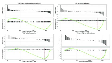 Enrichment Plot Of Four Kegg Among Rna Processes Abbreviations The Download Scientific
