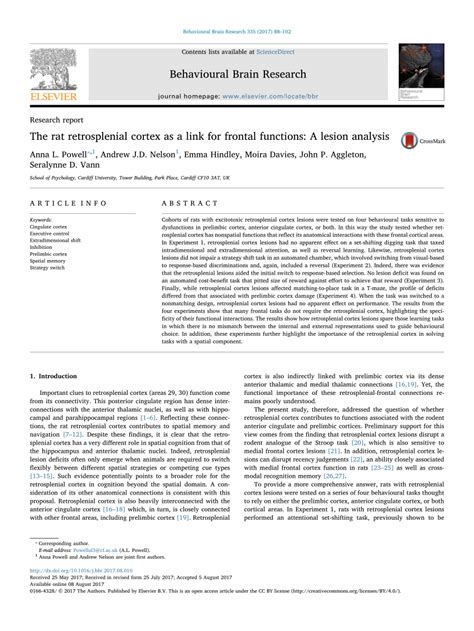 Pdf The Rat Retrosplenial Cortex As A Link For Frontal Functions A