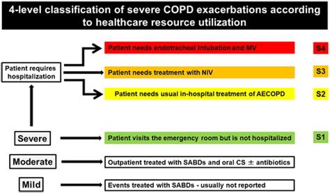 Full Article Proposal For A 4 Level Classification System Of Severe Copd Exacerbation According