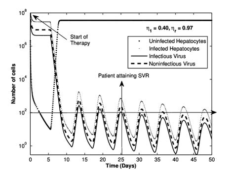 5 Triphasic Decline In Hepatitis C Viral Dynamics In Presence Of
