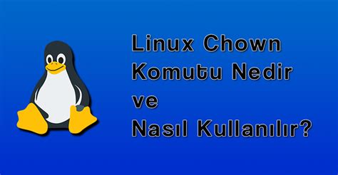 Linux Chown Komutu Nedir Ve Nasıl Kullanılır Hostixo Blog
