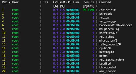 View Active Processes In Linux With The Procs Command Linode Docs