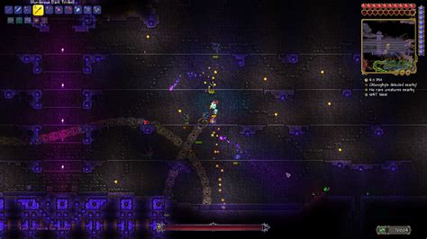 Top 5 Mods For Tmodloader January