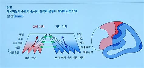 수업후기 제87회목요특강 후기 견주라 그림으로 읽는 뇌과학의 모든것