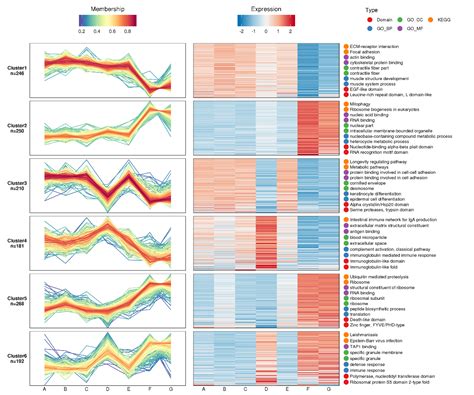 蛋白表达模式聚类分析 测试狗科研服务