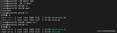 K8s二进制部署之定义ca证书与etcdetcd Docker 部署ca证书 Csdn博客