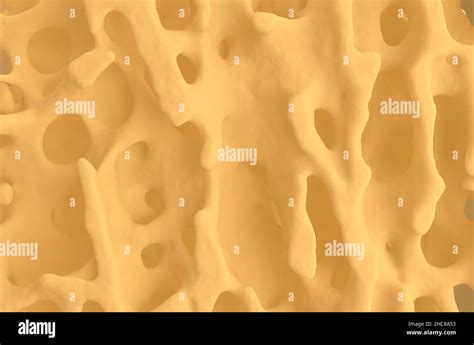 Normal Bone Structure Healthy Bone Cortex Natural Material Front View 3d Illustration Stock