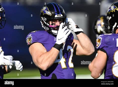 Baltimore Ravens Fullback Patrick Ricard 42 Looks On Before An Nfl