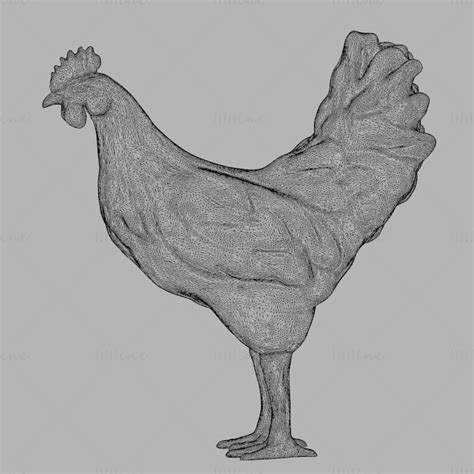 Cock Chicken Rooster 3d Printing Model Stl