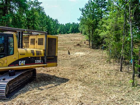 Commercial Tree And Stump Grinding Pictures