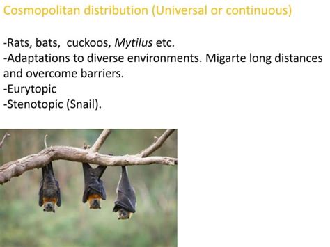 Kinds Of Animal Distribution Ppt