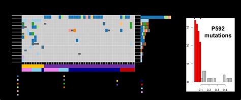 Mutation Profile For Genes Related To Dna Maintenance A Oncoplot For Download Scientific