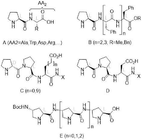 Previously Described Proline Containing α And γ Oligopeptides That