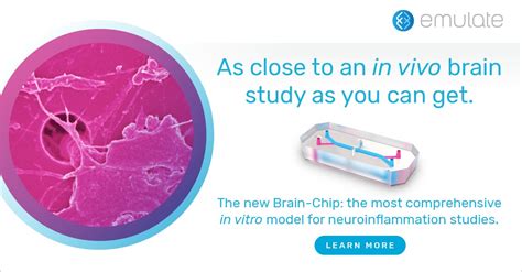 Brain Chip Emulate Inc