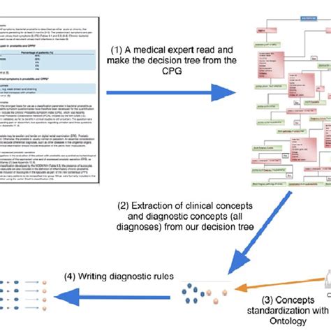 Diagram Showing The Approach Used For Cpg Implementation Download