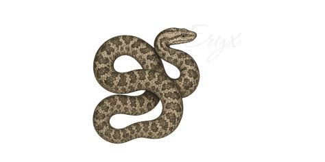 Github Reversesec Eryx Collection Of Cheat Dumps For Research And Detection