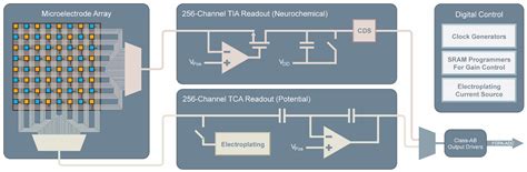 A 512 Ch Dual Mode Microchip For Simultaneous Measurements Of Electrophysiological And