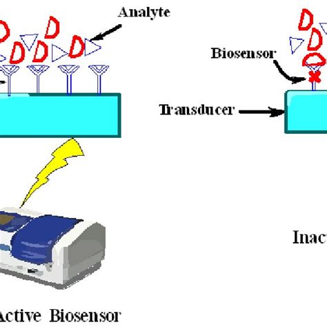 Basic Components Of Biosensors Download Scientific Diagram