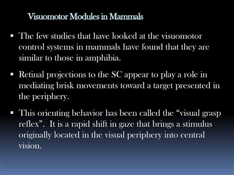Chapter 1 Vision From A Biological Viewpoint Ppt Download