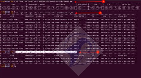How To Find Virtual Machine VM Image With Incus LXD NixCraft