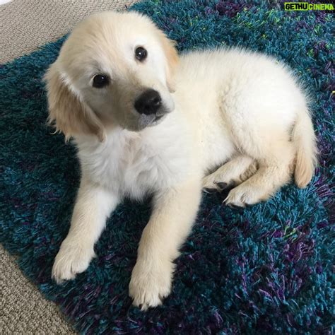 Bart Baker Gethu Cinema