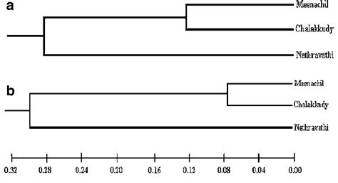 Dendrogram Pattern Of H Brachysoma A Rapd Analysis B Microsatellite