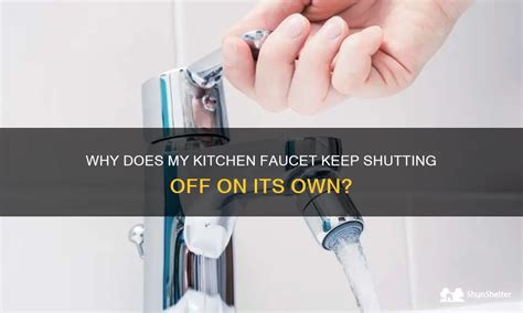 Why Does My Kitchen Faucet Keep Shutting Off On Its Own ShunShelter