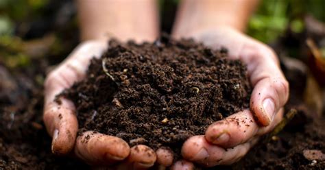 Climate Resilient Agriculture With Innovative Carbon Sequestration Techniques Khetibuddy