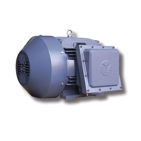 Techtop 10 Hp Nema Premium Motors Explosion Proof