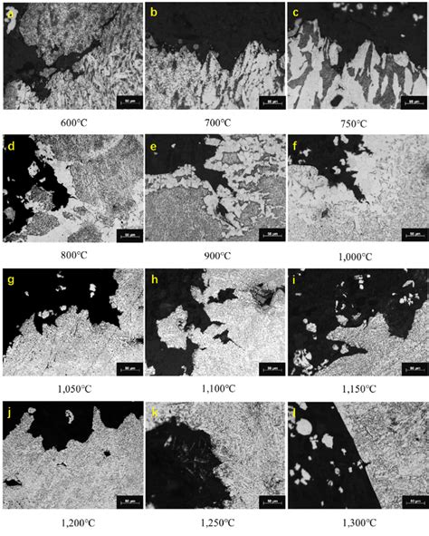 Metallographic Structure Of Hot Stretching Fracture Section At