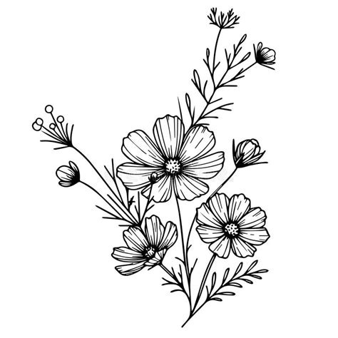 Flower Cluster Drawing Easy Flowers Coloring Pages February Birth