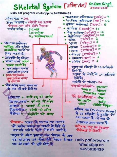 Skeletal System Science Notes Biology Facts Study Flashcards
