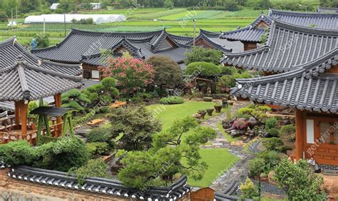 하이앵글 마당 기와지붕 기와집 배롱꽃 배롱나무 강진달빛한옥마을 월남리 강진군 전남 이미지 A12632479 게티이미지뱅크