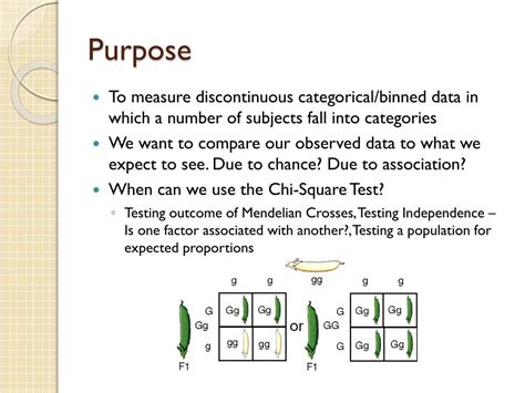 Ppt Tutorial Chi Square Distribution Powerpoint Presentation Free Download Id 6767509