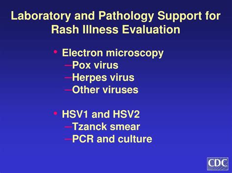Ppt Rash Illness Evaluation Powerpoint Presentation Free Download Id 179894