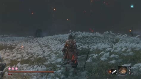 Weakest Fire Enjoyer Rsekiro