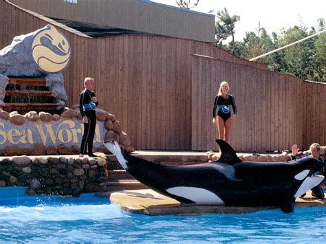 1983 Sea World San Diego