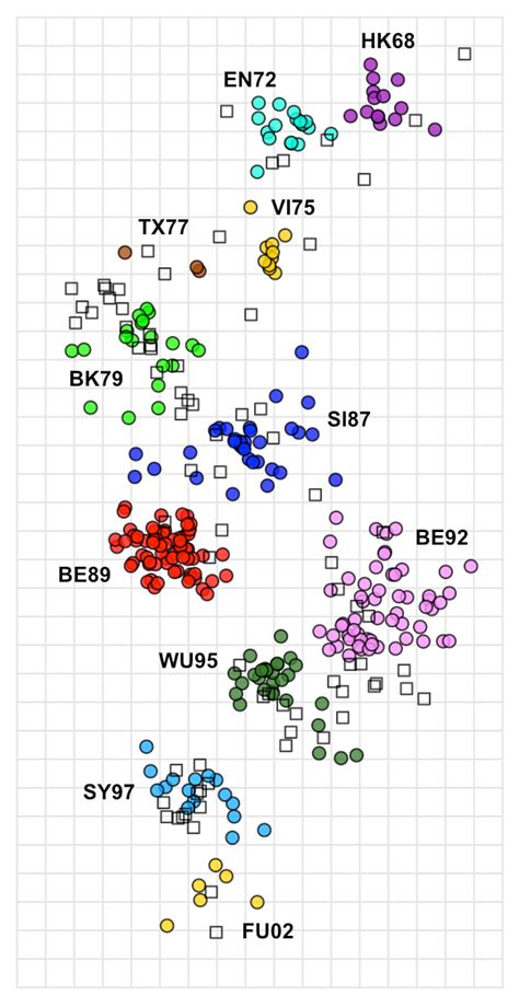 An Introduction To Antigenic Cartography • Racmacs