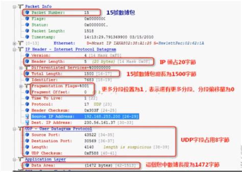 网络层ipv4报文格式详解 ipv4报文结构 网工小肖的博客 csdn博客